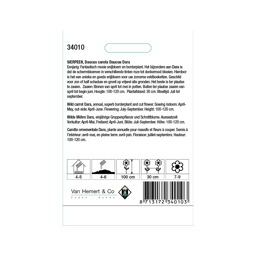 Daucus carota 'Dara' -seeds-